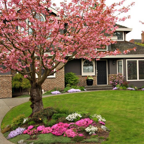 Get your Trees Ready for Spring