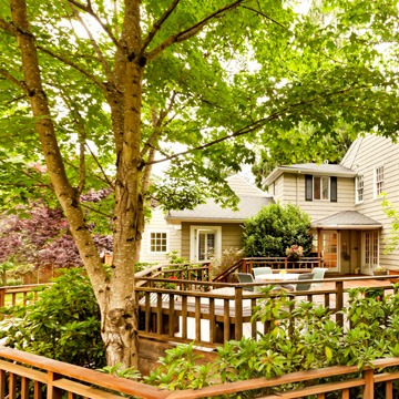 Official Guide to Maintaining Safer Trees on your Property | Kingsport TN