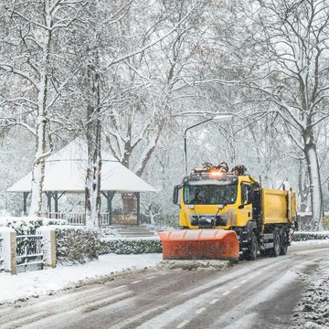 How to Protect Your Trees From Salt Damage This Winter