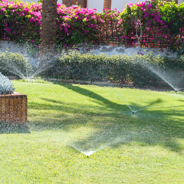 Watering Guide to Keep Your Lawn Looking Great| Kingsport, TN