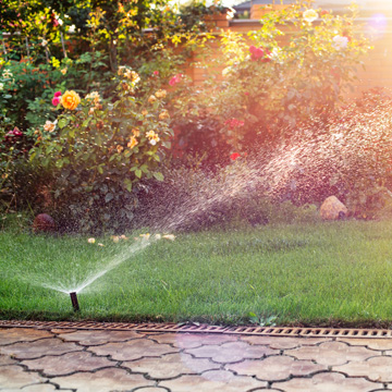 How a Custom Irrigation System Can Boost Your Home’s Curb Appeal | TN