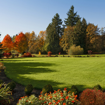 The Ultimate Fall Lawn Care Guide | Kingsport, TN