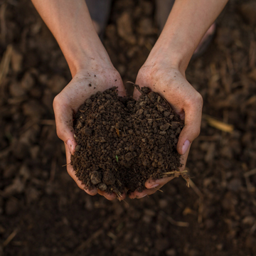 6 Steps to Improve Your Soil Quality | Kingsport TN