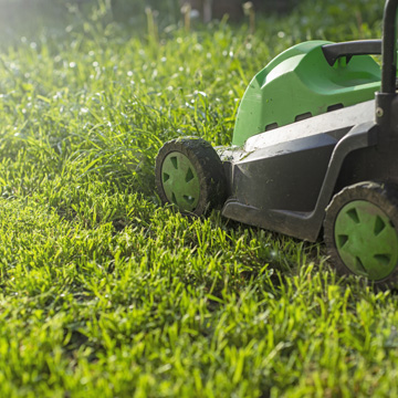 How Short Should I Cut My Grass? | Kingsport, TN
